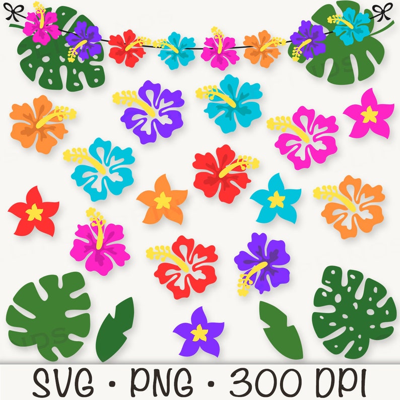 Tropical Flower Clipart: Hibiscus, Plumeria, Monstera Leaf (SVG, PNG ...