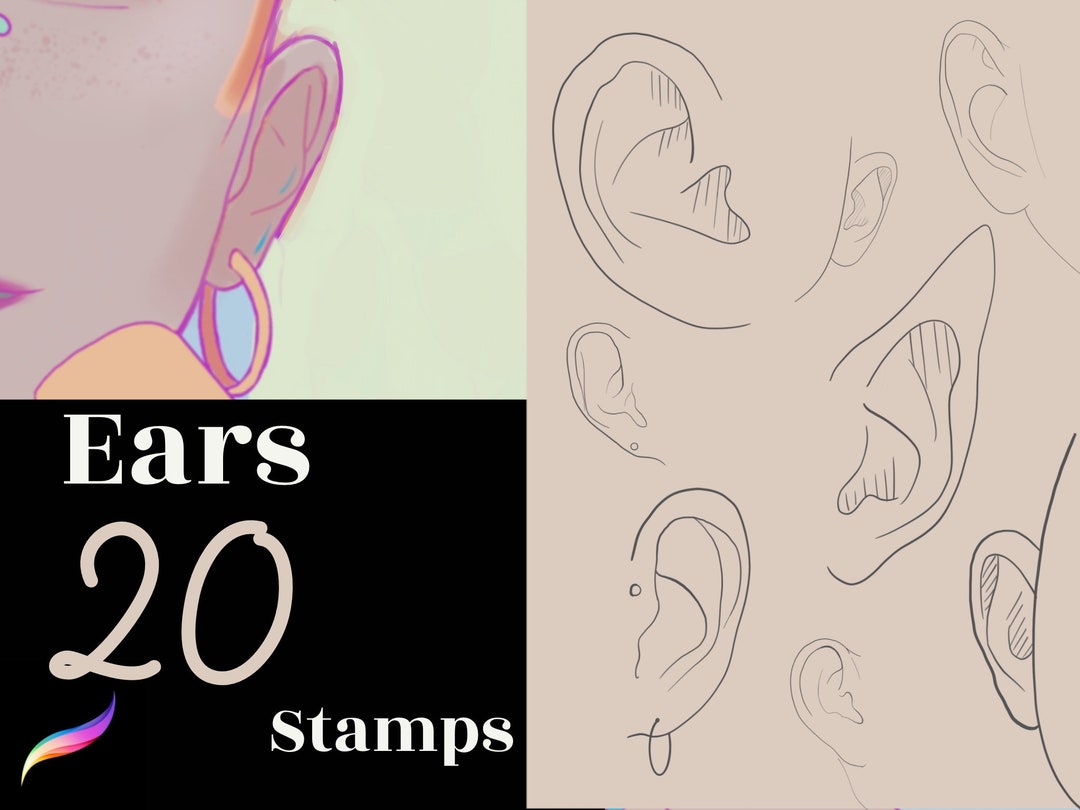 Procreate Ears Stamp Brushes, Procreate Face Stamps, Procreate Portrait ...