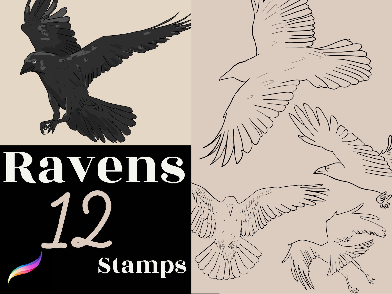 Procreate Neo Traditional Raven, Procreate Tattoo Stamps and Brushes ...