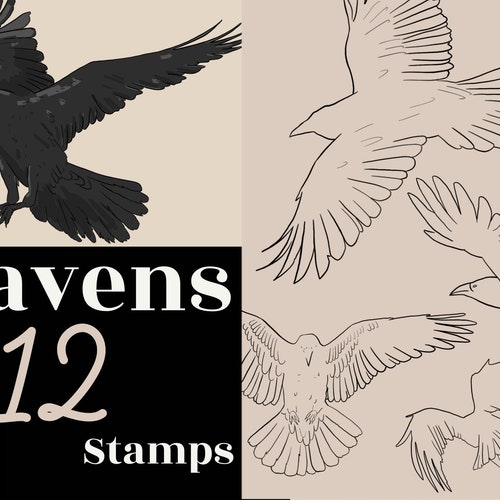 Procreate Neo Traditional Raven Procreate Tattoo Stamps and - Etsy