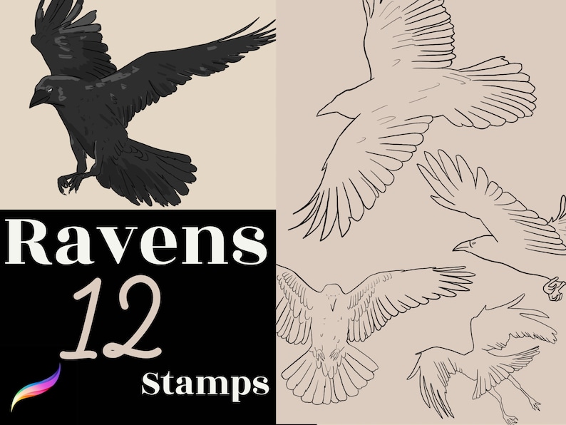 Procreate Neo Traditional Raven, Procreate Tattoo Stamps and Brushes ...