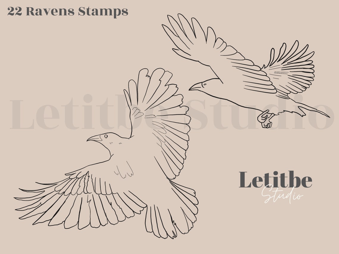 Procreate Neo Traditional Raven, Procreate Tattoo Stamps and Brushes ...