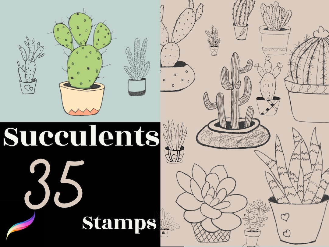 35 Cactus and Succulent Procreate Stamps, Procreate Potted Cactus and ...