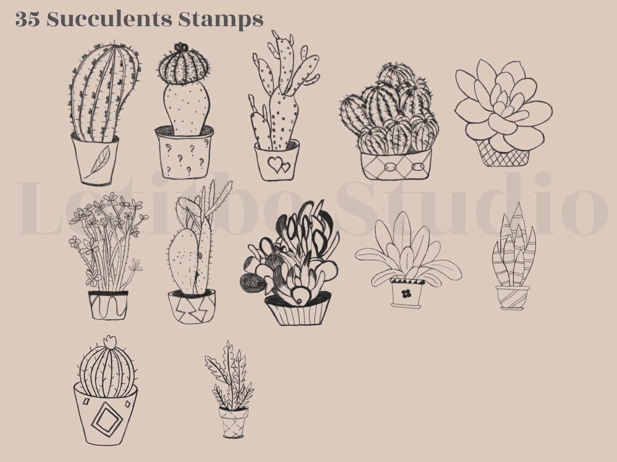 35 Cactus and Succulent Procreate Stamps, Procreate Potted Cactus and ...