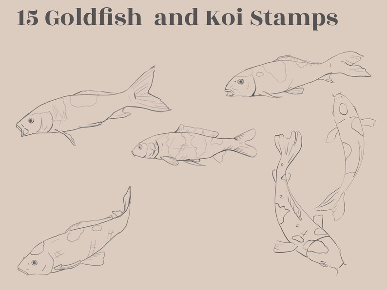 Procreate Goldfish and Koi Stamp Brushes, Procreate Goldfish Stamps ...