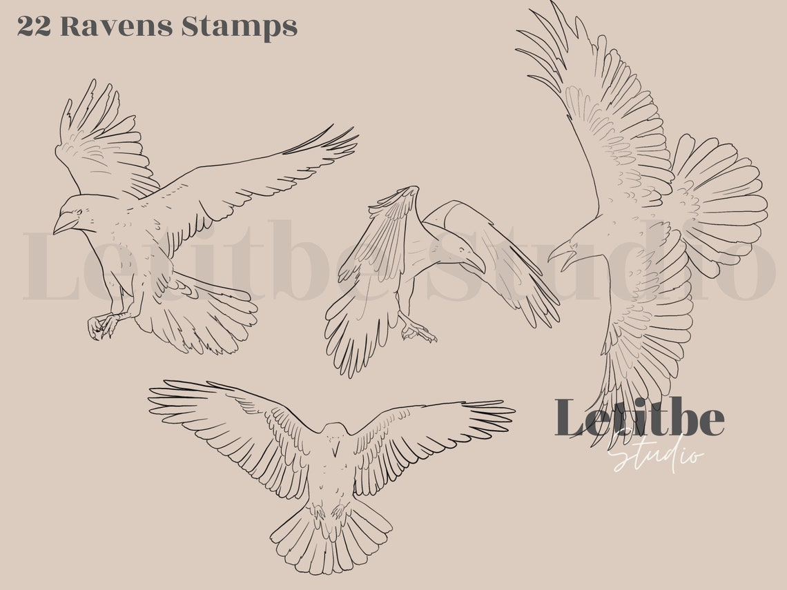 Procreate Neo Traditional Raven, Procreate Tattoo Stamps and Brushes ...