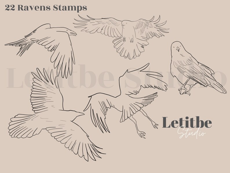 Procreate Neo Traditional Raven, Procreate Tattoo Stamps and Brushes ...