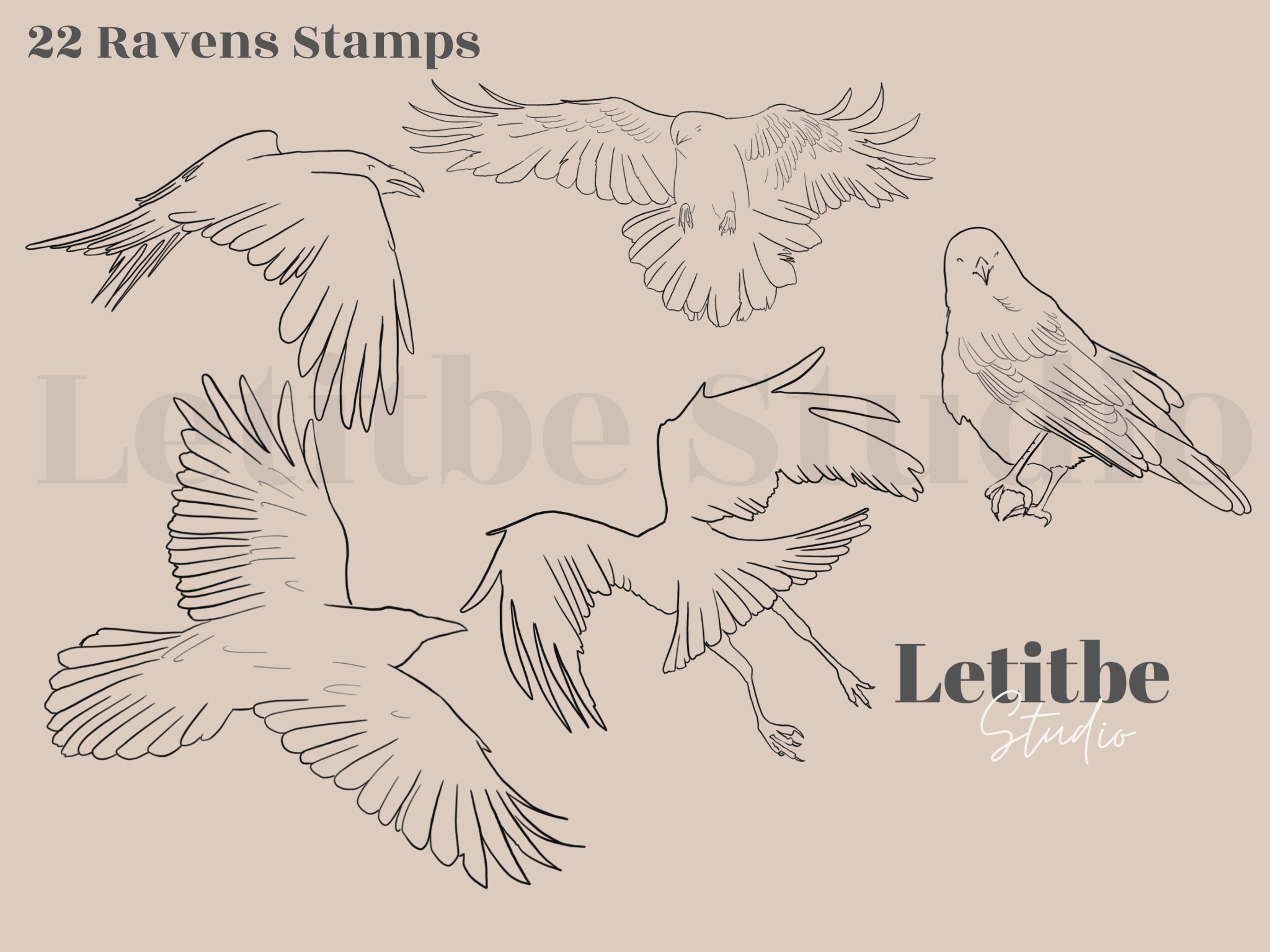 Procreate Neo Traditional Raven, Procreate Tattoo Stamps and Brushes ...