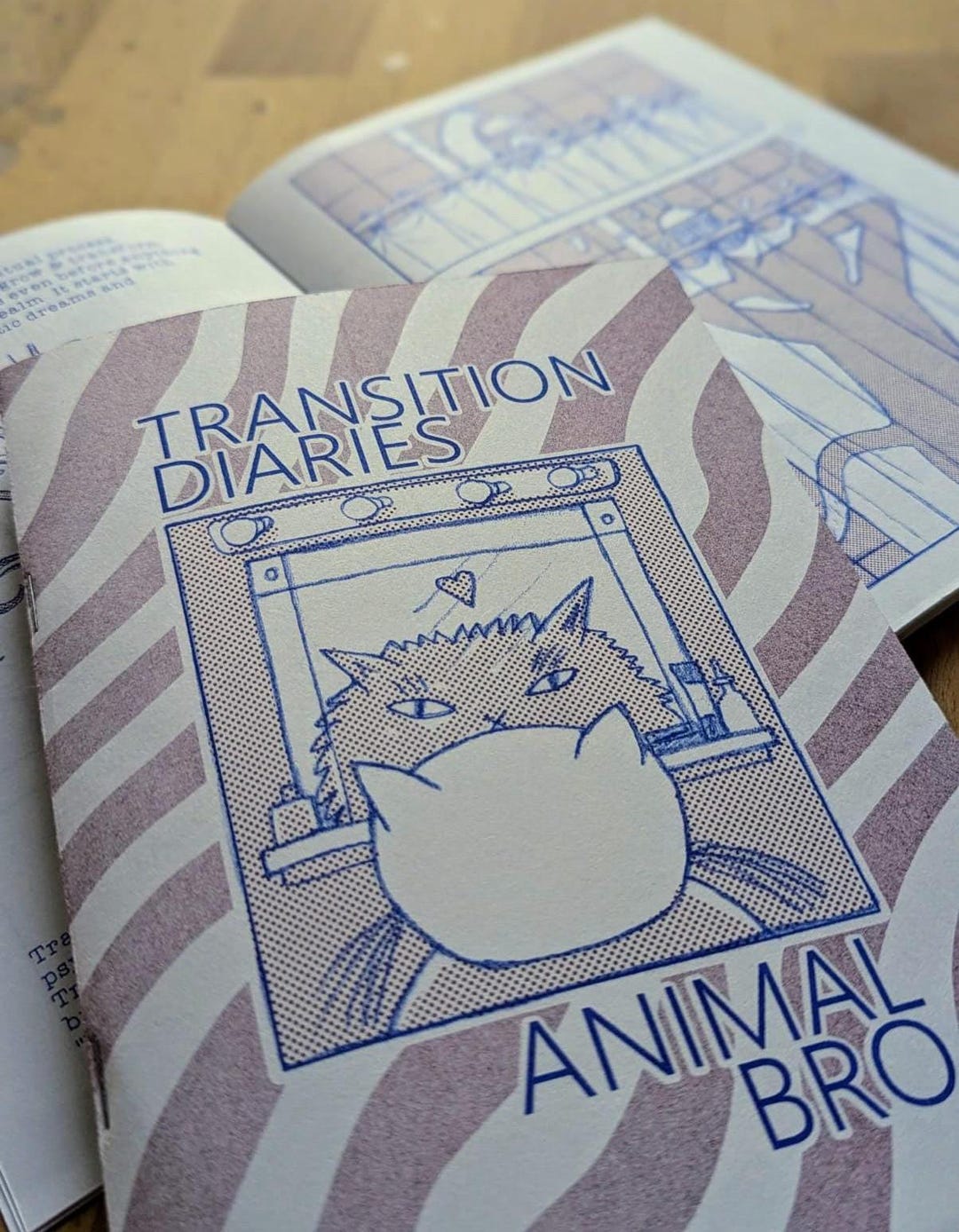 Trans Queer Zine, TRANSITION DIARIES, Riso Print Comic Zine - Etsy