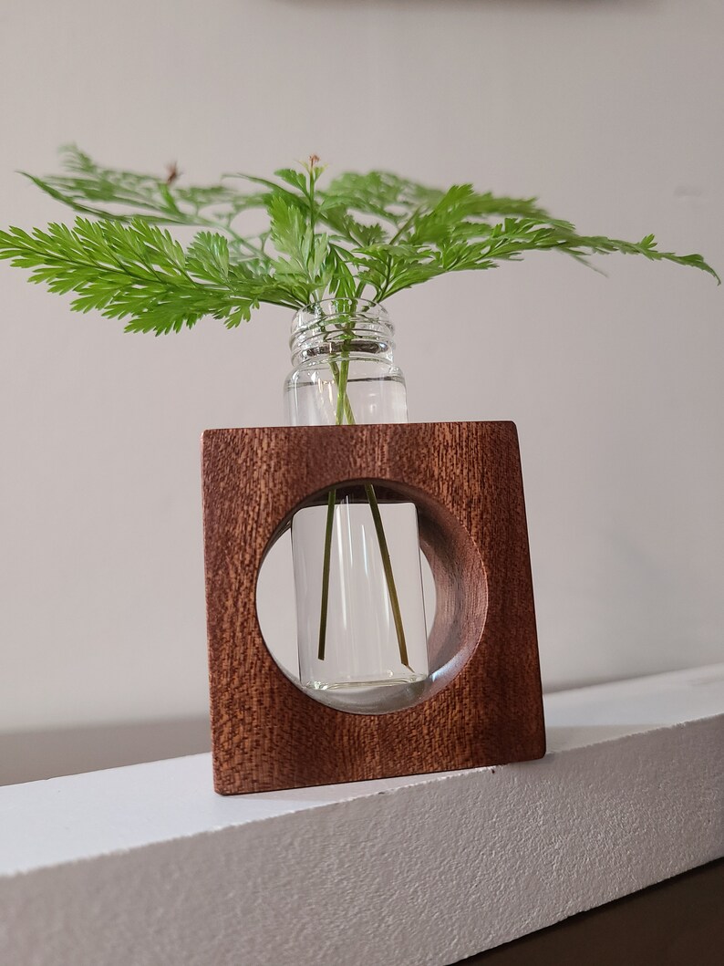 Small Desktop Single Stem Vase Propagation Stand Minimalist - Etsy