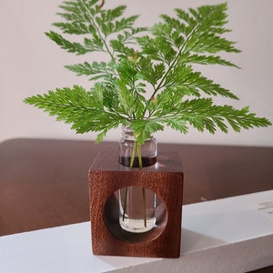 Small Desktop Single Stem Vase Propagation Stand Minimalist - Etsy