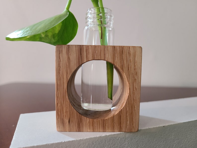 Small Desktop Single Stem Vase Propagation Stand Minimalist - Etsy