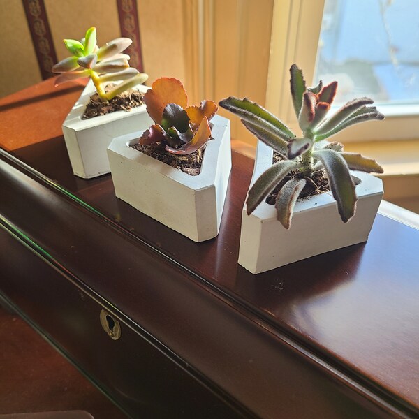 Triangle Planter - Etsy