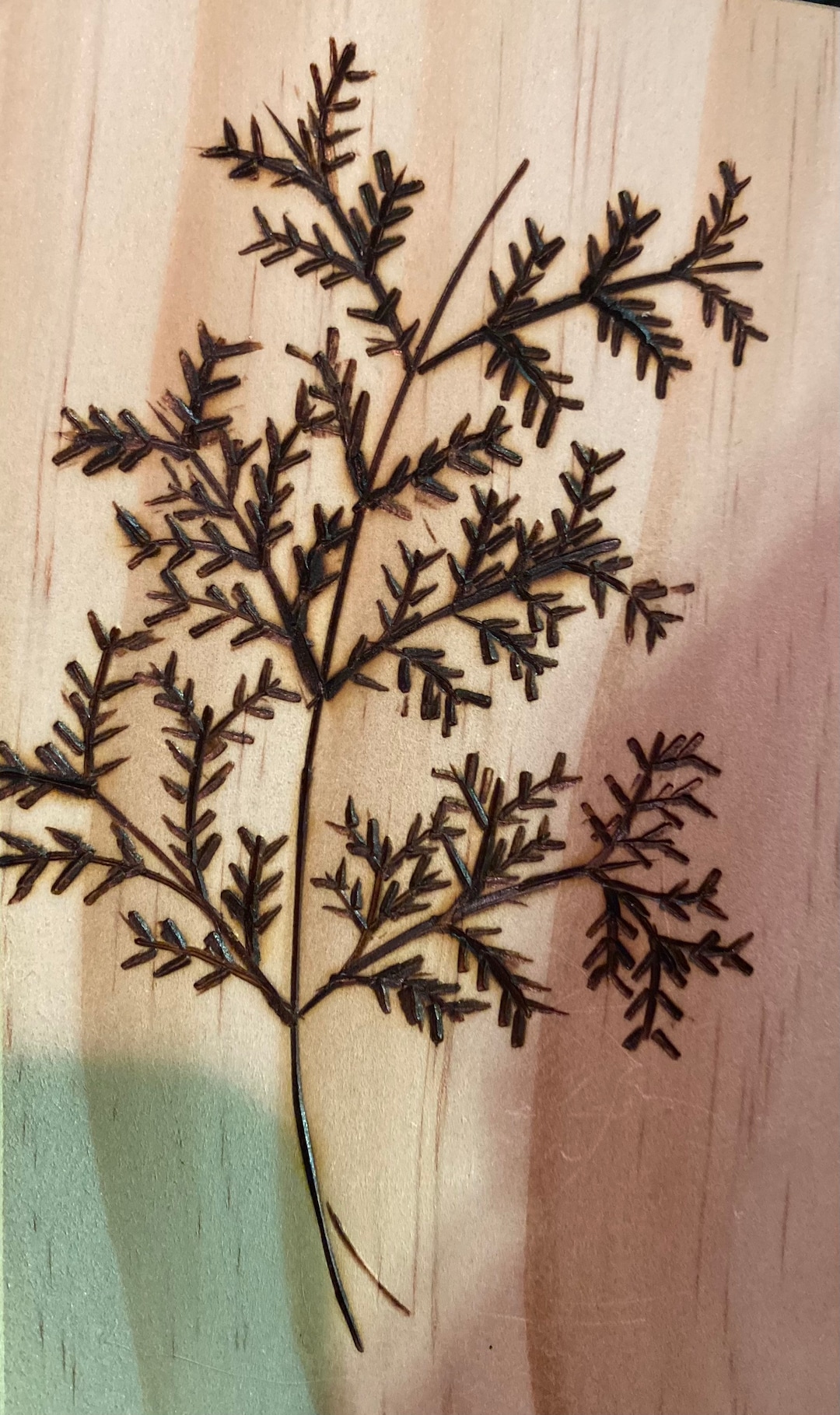 4*6 Wood Burned Tree - Etsy