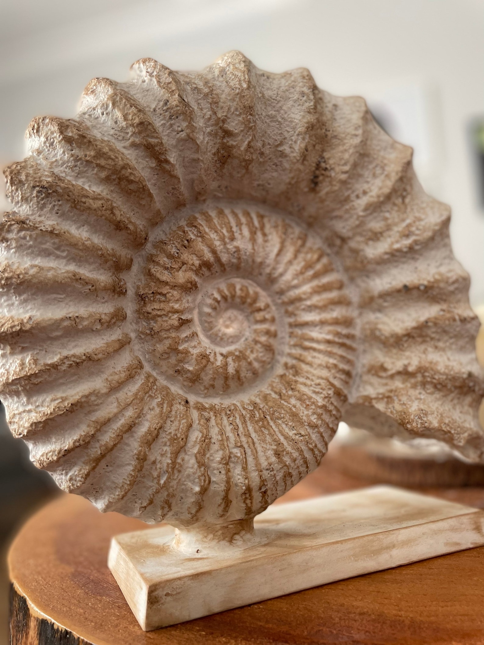 Large Sea Shell Sculpture Statue 11 Incheshome Decor - Etsy UK