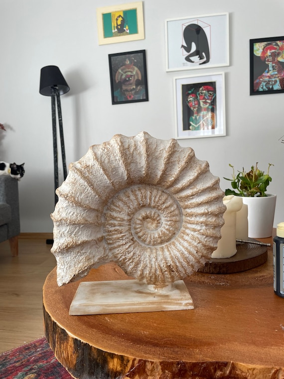 Large Sea Shell Sculpture Statue 11 Incheshome Decor - Etsy UK