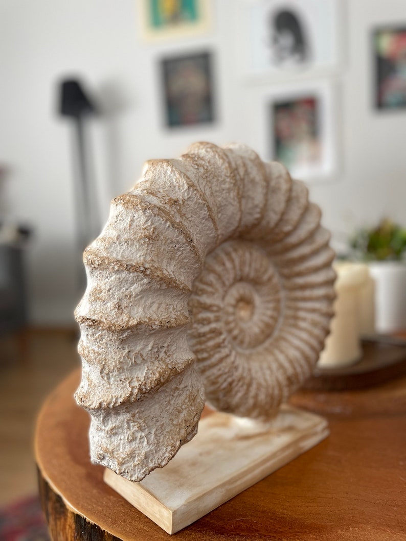Large Sea Shell Sculpture Statue 11 Incheshome Decor - Etsy