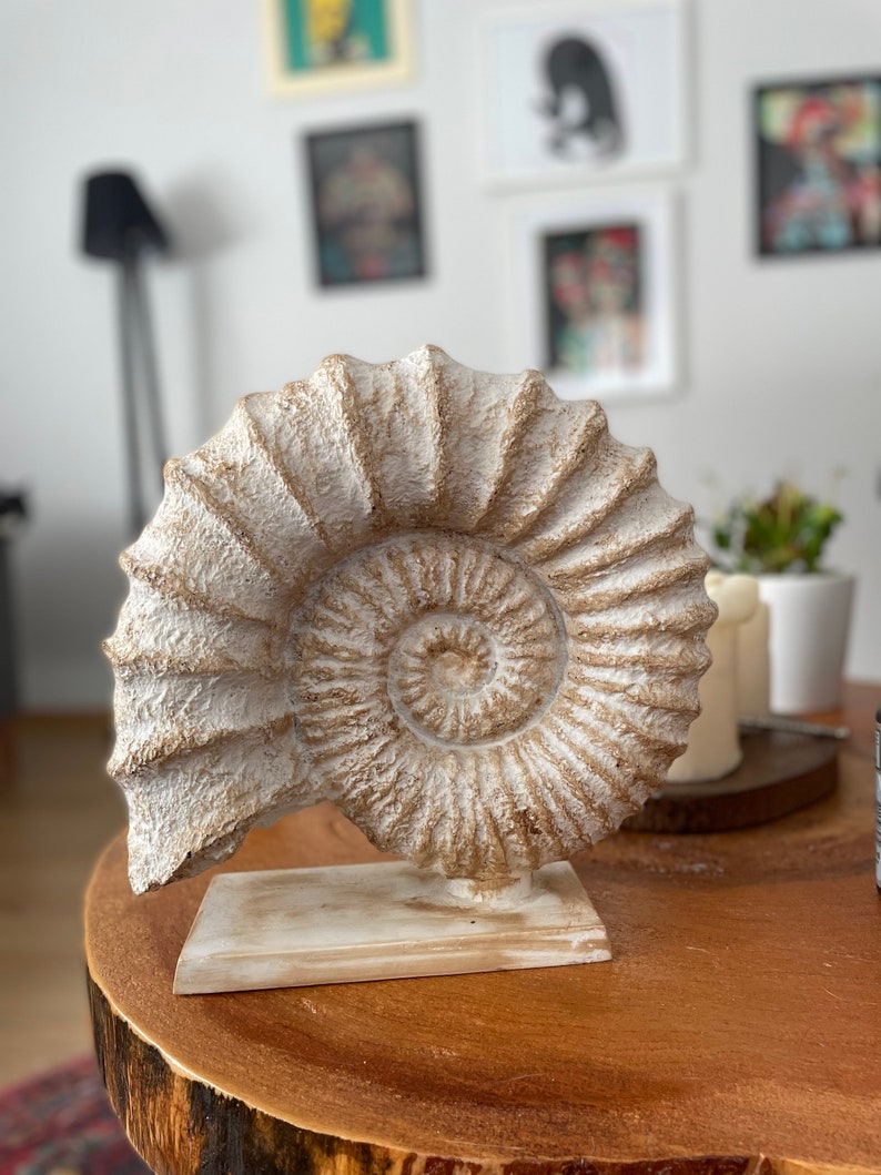 Large Sea Shell Sculpture Statue 11 Incheshome Decor - Etsy