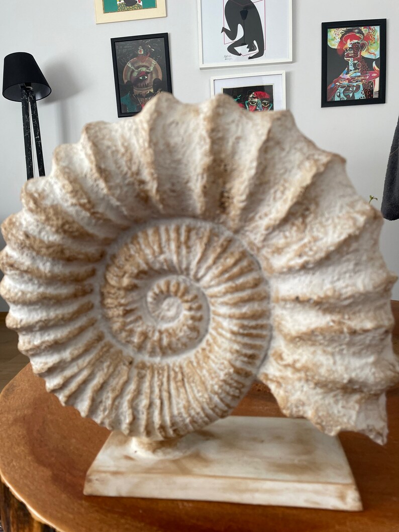 Large Sea Shell Sculpture Statue 11 Incheshome Decor - Etsy