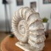 Large Sea Shell Sculpture Statue 11 Incheshome Decor - Etsy