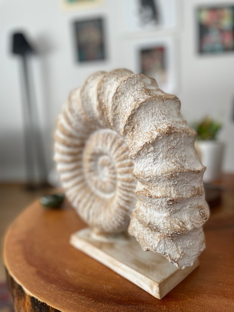 Large Sea Shell Sculpture Statue 11 Incheshome Decor - Etsy