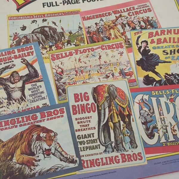 Circus Poster - Etsy