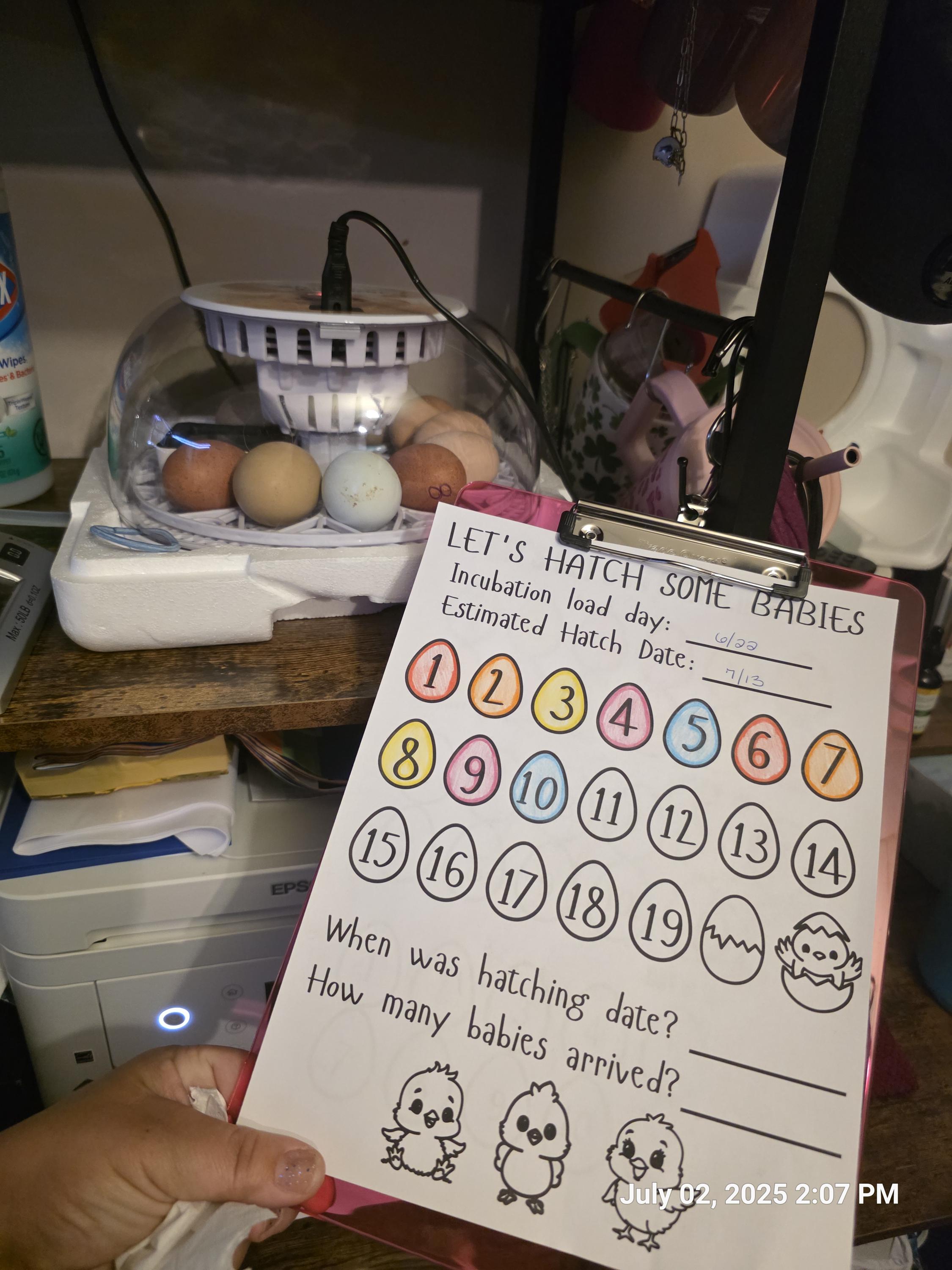 Incubation: Chicken Hatch Log - Etsy