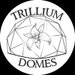 20' / 6m Zome Plans! Geodesic Dome DIY Build Plans NO HUBS (imperial ...