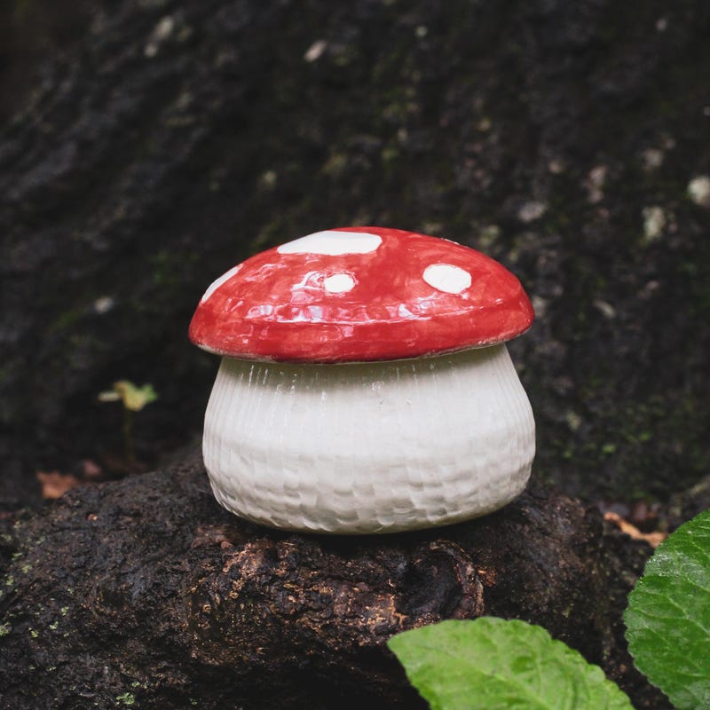 Mushroom Container - Etsy