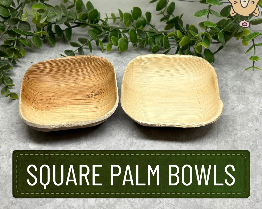 Square-shaped Palm Leaf Bowls 4in Natural Chew & Forage Dish for ...