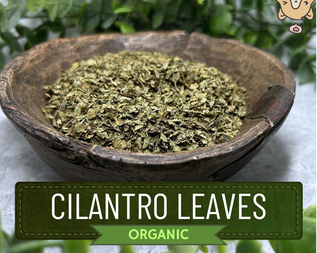 Cilantro Leaves Organic Dried Flowers, Herbs, & Spices Great Solo for ...