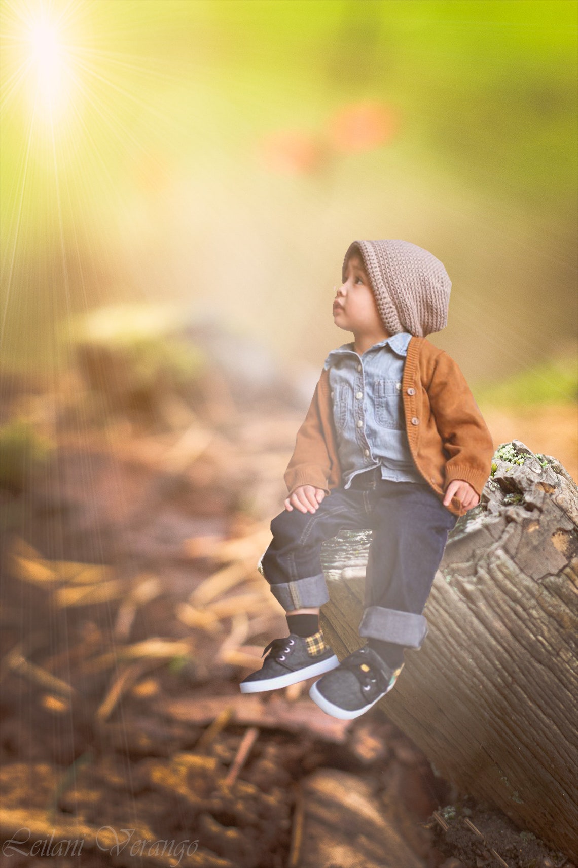 Nature Digital Background: Tree Stump | Etsy