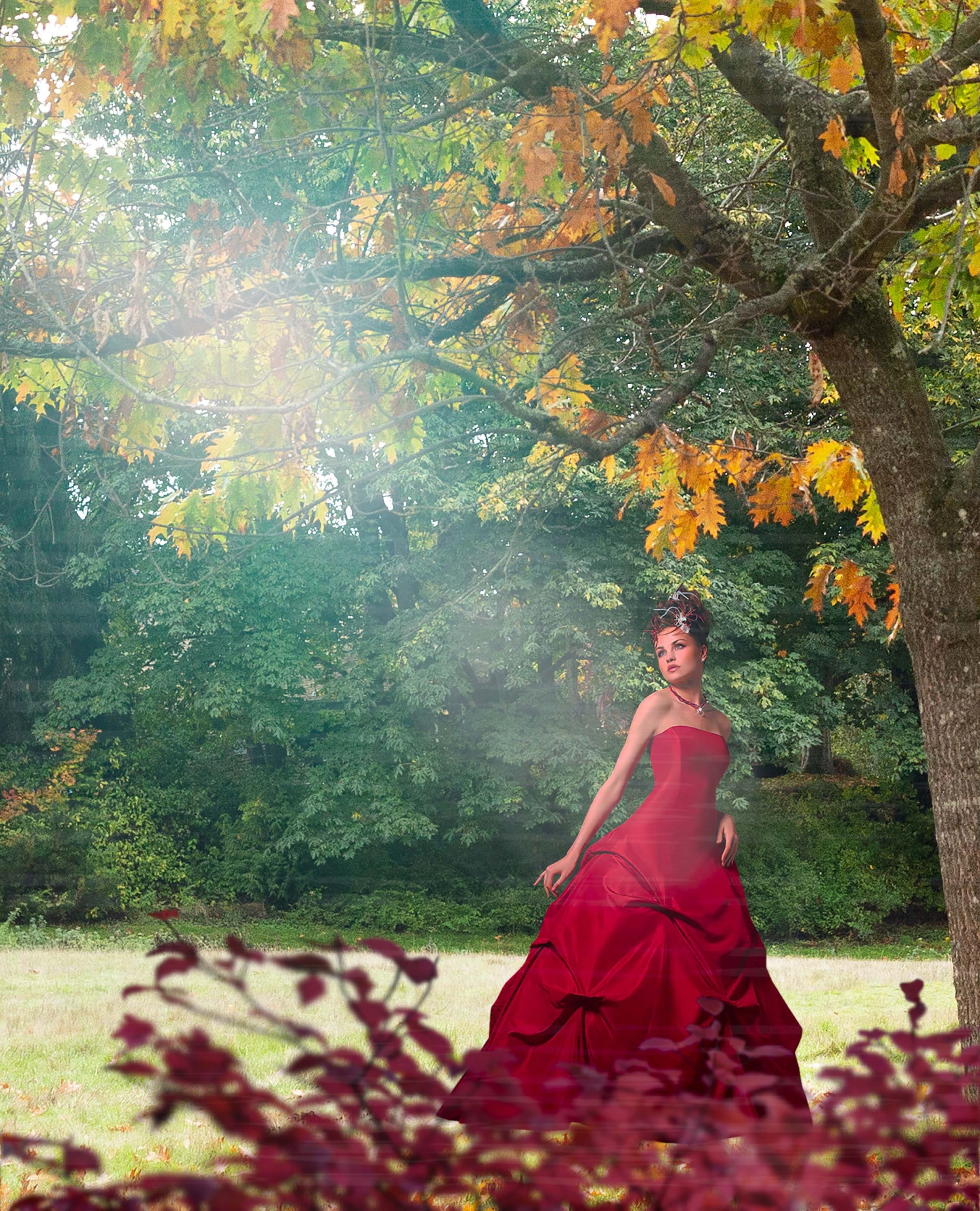 Fall Background for Portrait Photography - Etsy