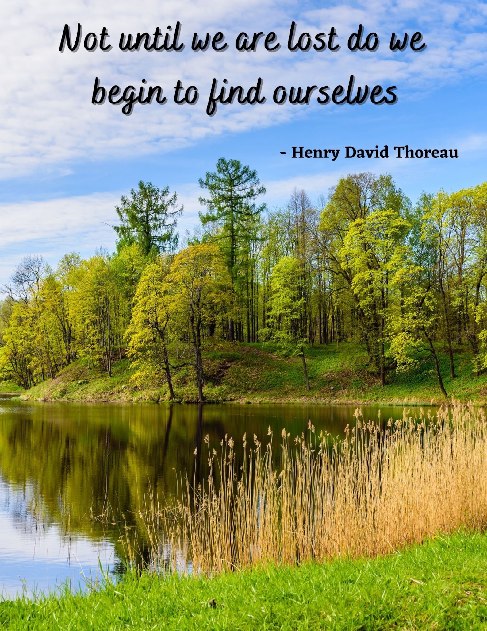 Henry David Thoreau Quote Instant Digital Print Walden | Etsy