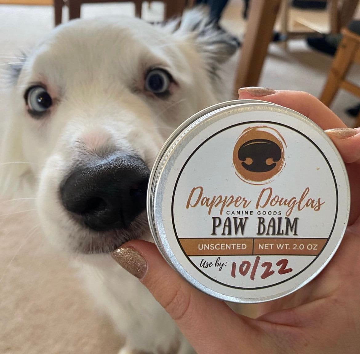 Dapper Douglas Paw Balm - Etsy