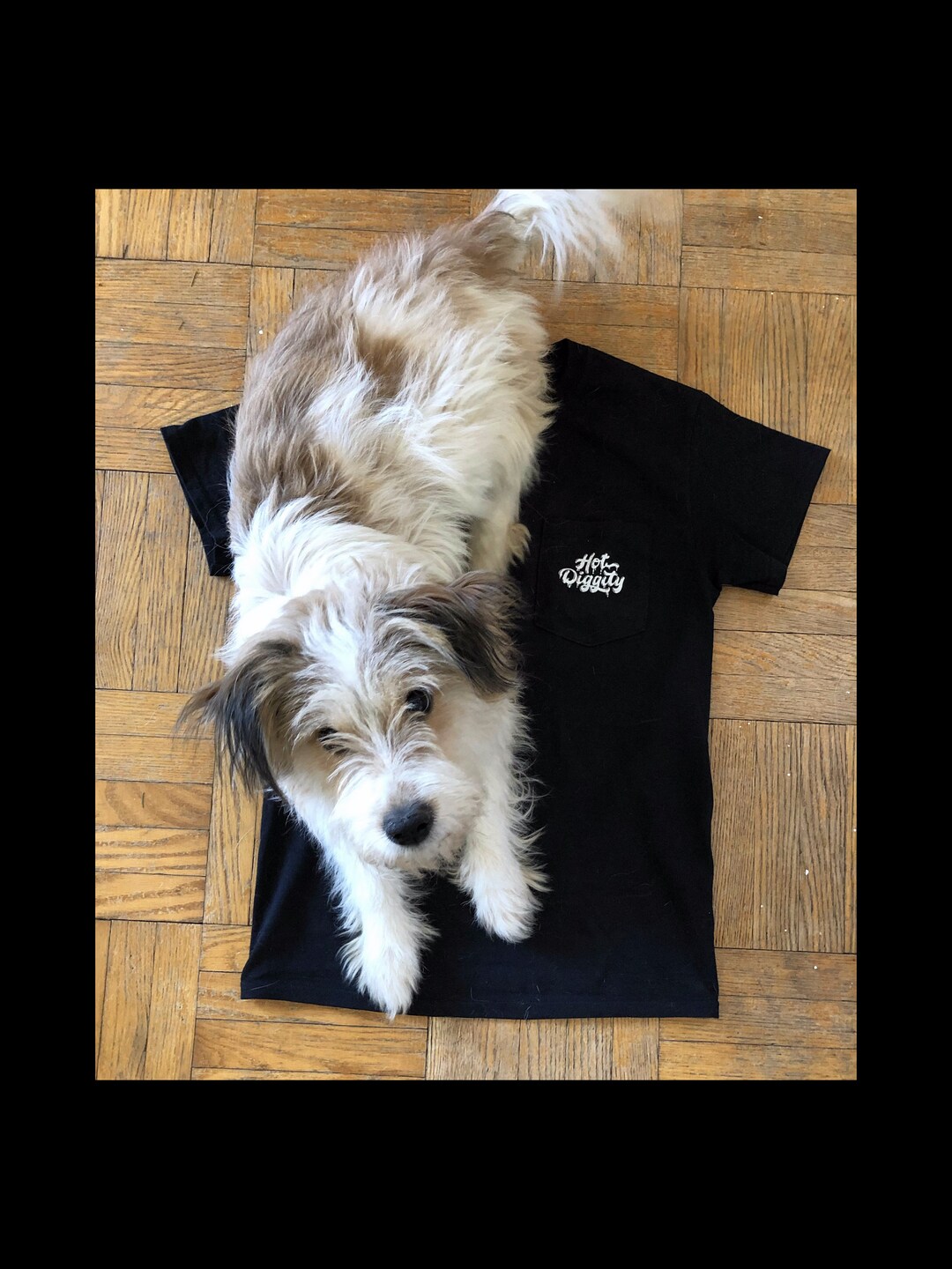 Hot Diggity Logo T-shirt - Etsy