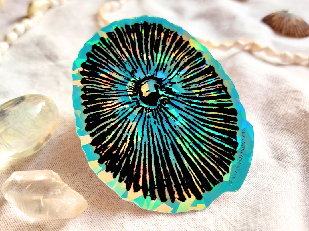 Hawaii Opihi Shell Sticker, Water Bottle Sticker Hawaiʻi, Glitter ...