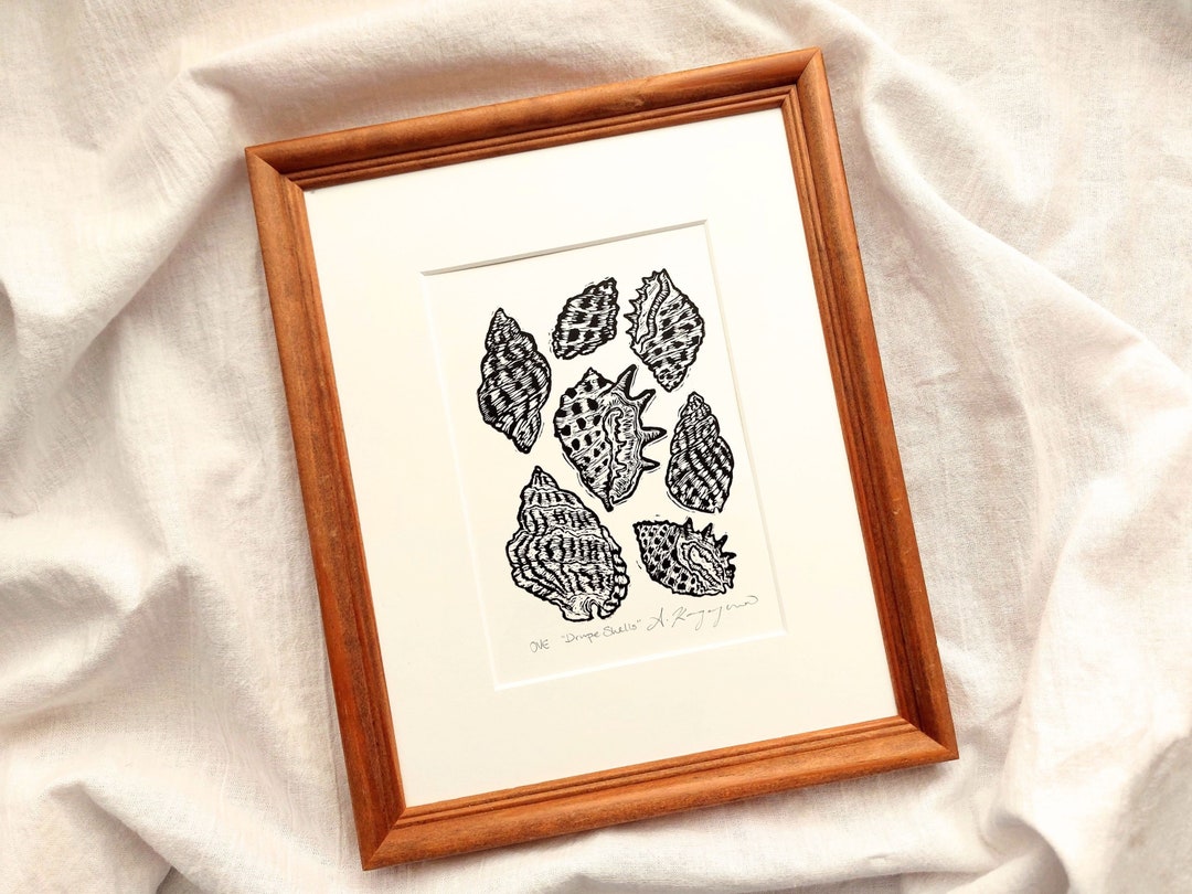 Drupe Shells, 5x7 Prints Seashells Art Print, Original Hand-carved ...