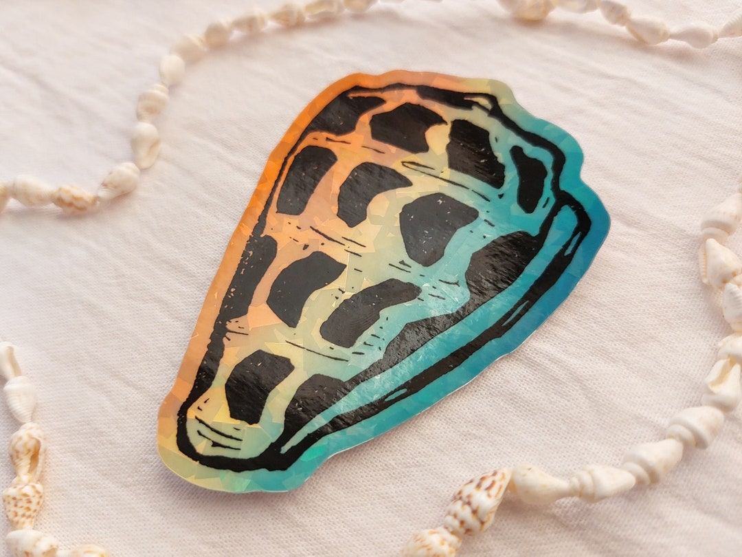 Hebrew Cone Shell Sticker, Hawaii Water Bottle Sticker, Prism Glitter ...