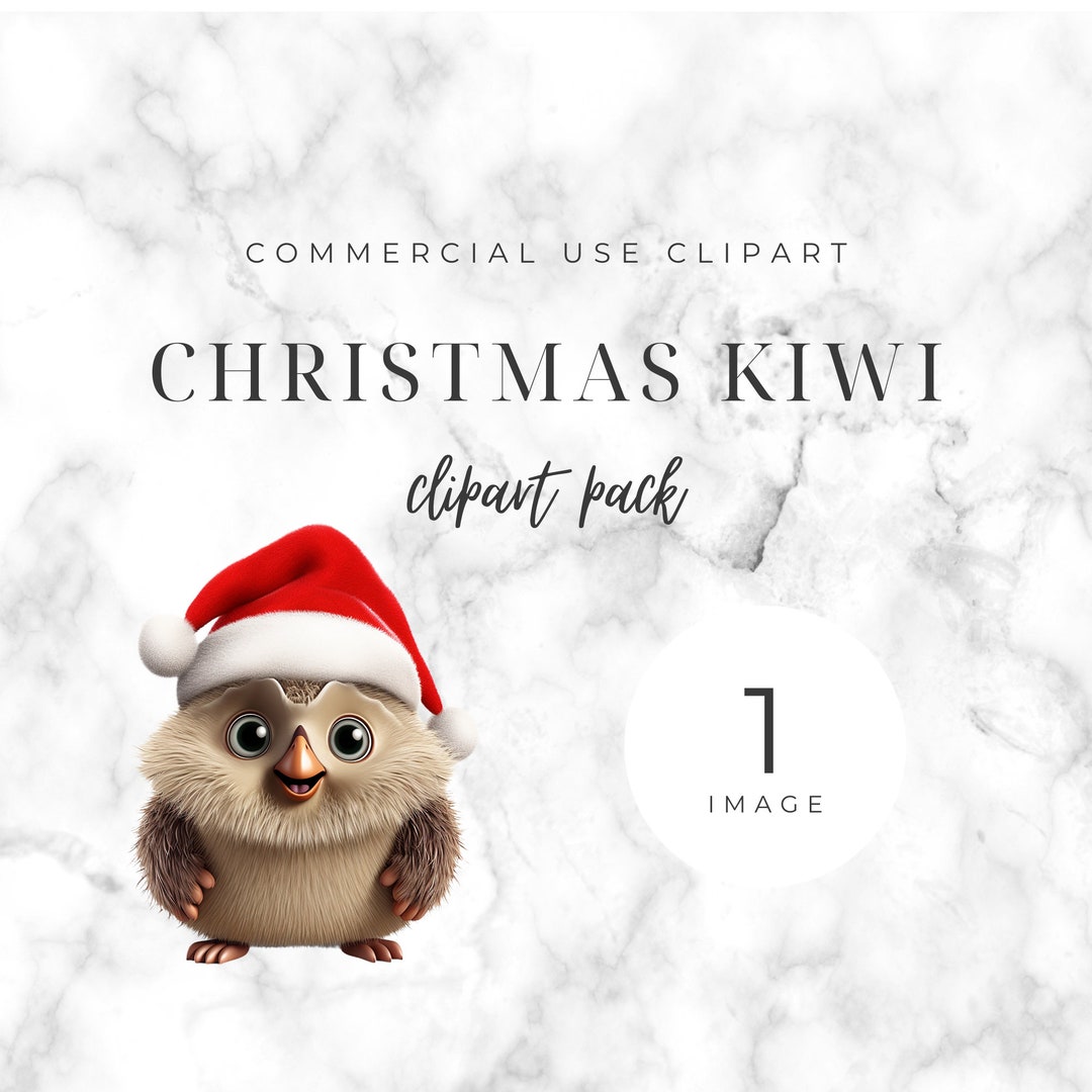 Baby Christmas Kiwi Clipart Graphic | SINGLE IMAGE | for Commercial Use ...