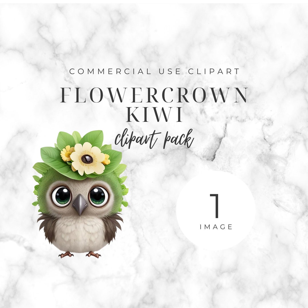 Kiwi Clipart Graphic | SINGLE IMAGE | for Commercial Use, Transparent ...