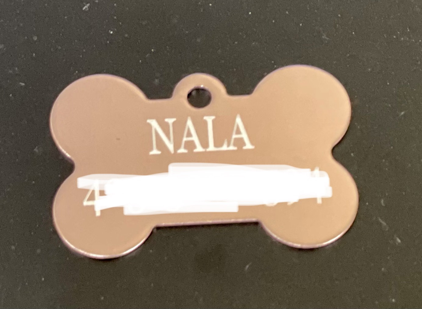 Custom Laser Engraved Bone Shaped Pet Tags - Etsy UK