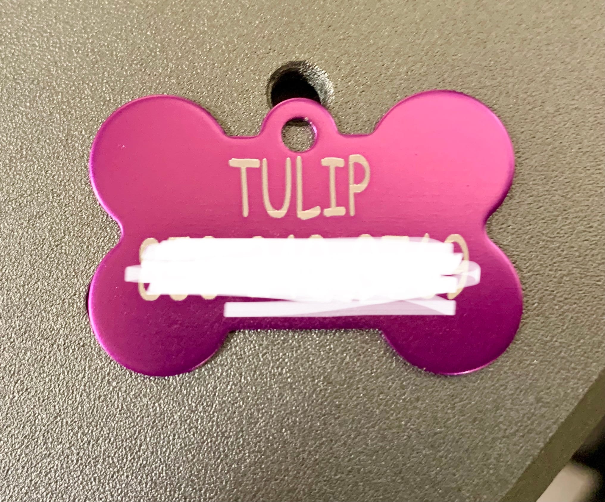 Custom Laser Engraved Bone Shaped Pet Tags - Etsy UK
