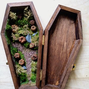 Mini Hallowen Coffins Set/mini Coffins/miniature/nature/diorama/anti ...