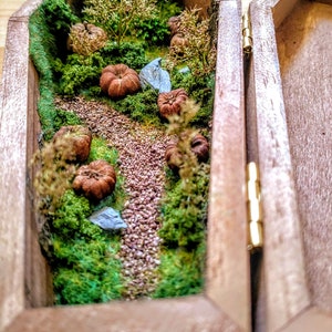 Mini Hallowen Coffins Set/mini Coffins/miniature/nature/diorama/anti ...