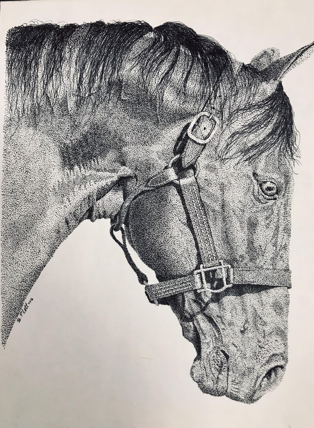 The Champion - Etsy