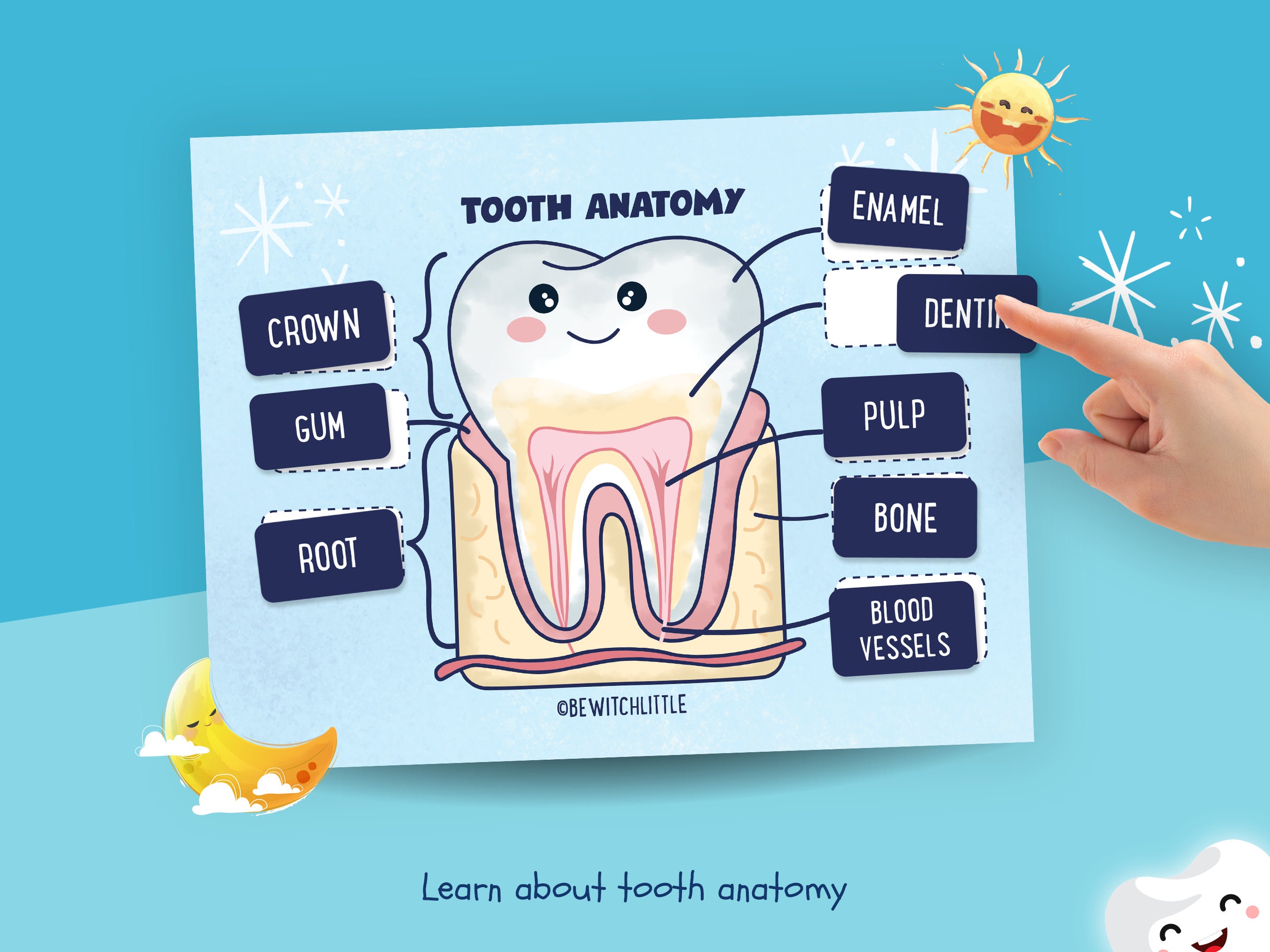 Dental Health Preschool Toddler Activity Printable Montessori - Etsy