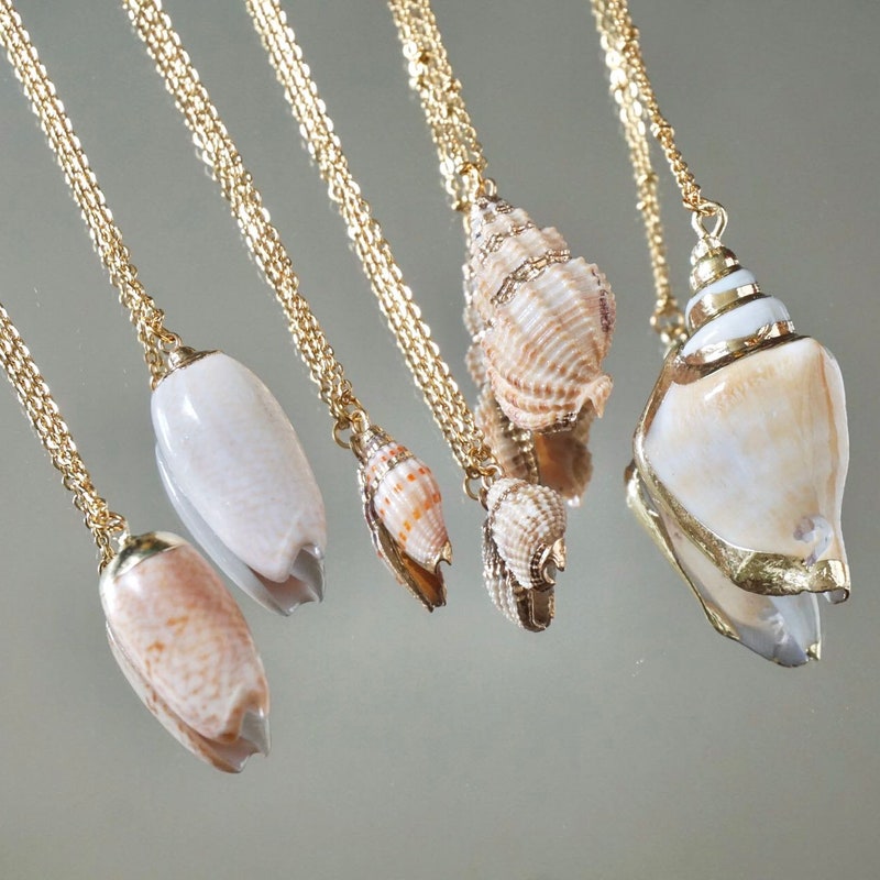 Seashell Necklace - Etsy