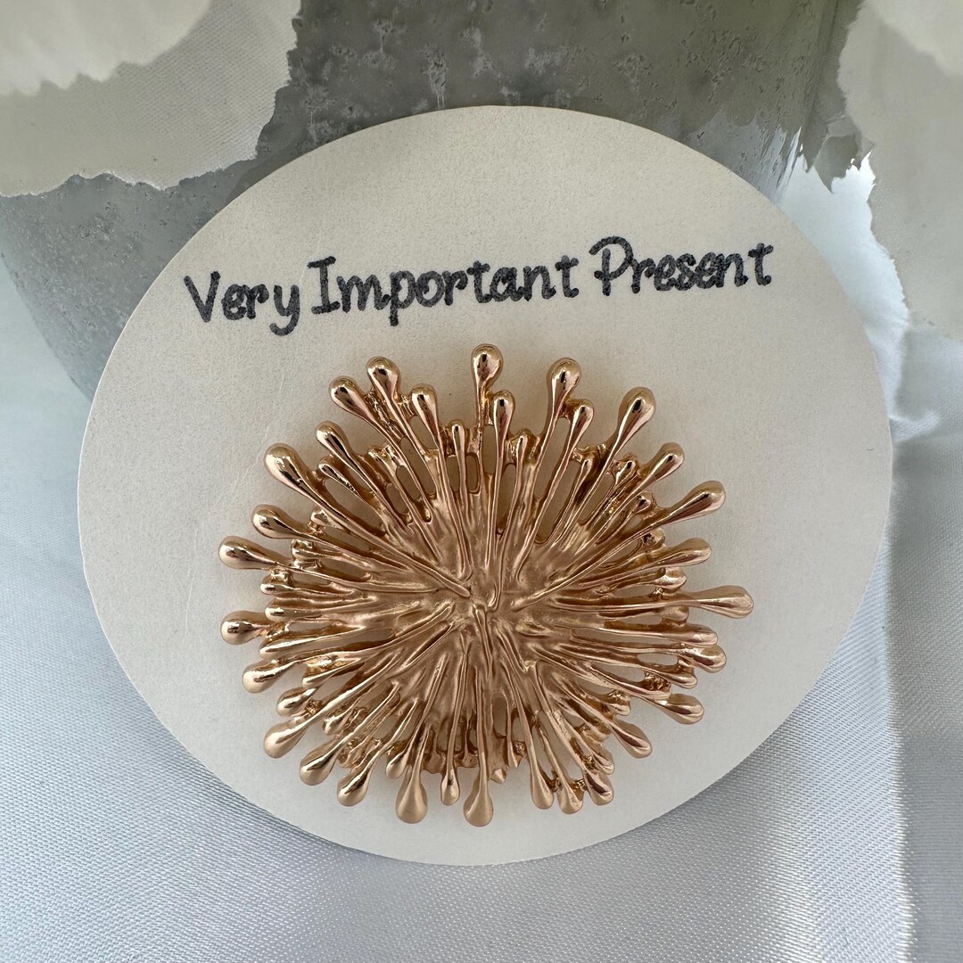 Beautiful Gold Magnet Brooch Matt Gold & High Shine Gold Scarf Clip ...