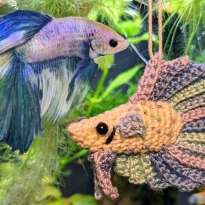 Betta Fish - CROCHET PATTERN - Etsy